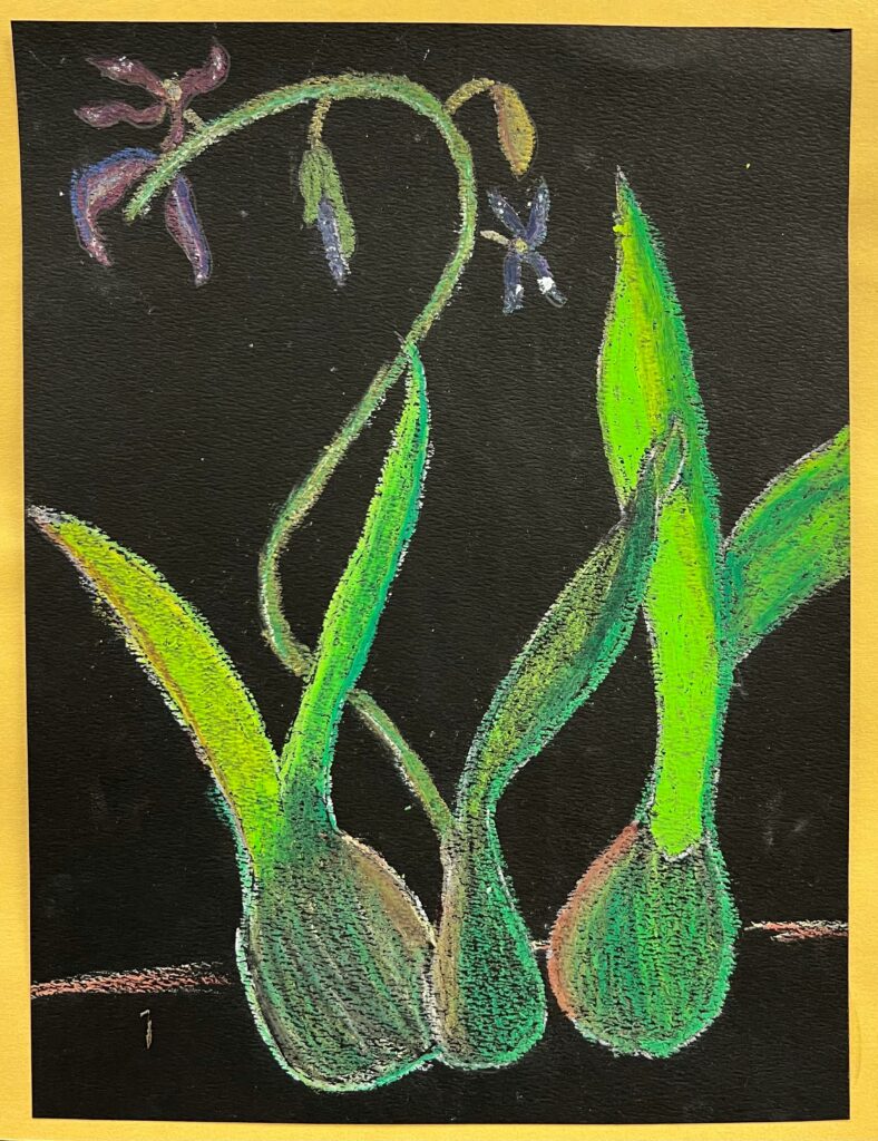 The Classical Studio – Integrating Art in the Classical Christian ...